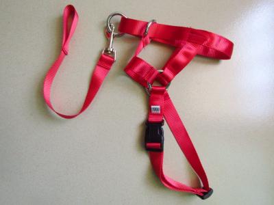 Cina Simply New Design Nylon Braided Training Walking Comfortable Bite Proof Dog Muzzle in vendita