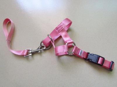 Cina Simply New Design Nylon Braided Training Walking Comfortable Bite Proof Dog Muzzle in vendita