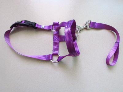 Cina Simply New Design Nylon Braided Training Walking Comfortable Bite Proof Dog Muzzle in vendita