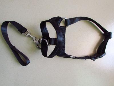 Cina Simply New Design Nylon Braided Training Walking Comfortable Bite Proof Dog Muzzle in vendita