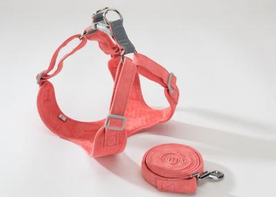 Cina Morbidezza del campione di sostegno e collare di cane di lusso del denim del guinzaglio durevole del cablaggio in vendita