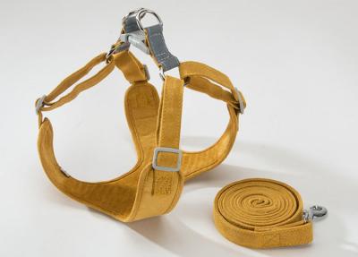 Cina Morbidezza del campione di sostegno e collare di cane di lusso del denim del guinzaglio durevole del cablaggio in vendita