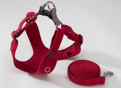 Cina Morbidezza del campione di sostegno e collare di cane di lusso del denim del guinzaglio durevole del cablaggio in vendita