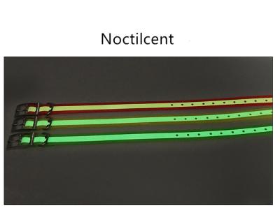 Cina Il nylon luminoso comodo molle dell'OEM Manfacturer del ODM/ha riempito il collare di cane riflettente del PVC in vendita
