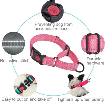 Cina Il grande bene durevole del cane ha intrecciato l'insieme molle riflettente di nylon del collare e del guinzaglio di cane della maniglia in vendita