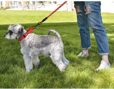 Cina Il grande bene durevole del cane ha intrecciato l'insieme molle riflettente di nylon del collare e del guinzaglio di cane della maniglia in vendita