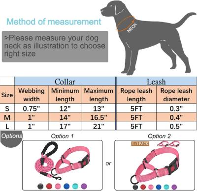 Cina Il grande bene durevole del cane ha intrecciato l'insieme molle riflettente di nylon del collare e del guinzaglio di cane della maniglia in vendita