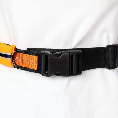 Cina Correre pareggiante facendo un'escursione il guinzaglio di media grandezza del cane della vita di Handfree di dimensione del guinzaglio riflettente elastico in vendita
