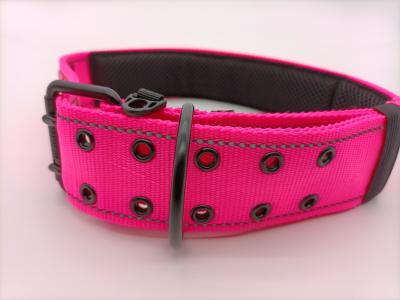Cina Collare di cane di nylon respirabile leggero eccellente riempito del neoprene di nylon molle regolabile in vendita