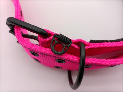 Cina Collare di cane di nylon respirabile leggero eccellente riempito del neoprene di nylon molle regolabile in vendita