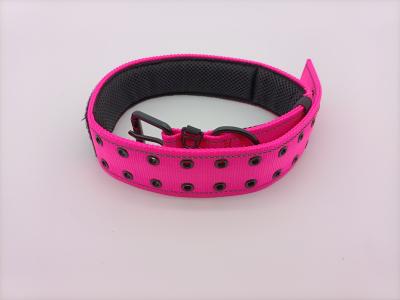 Cina Collare di cane di nylon respirabile leggero eccellente riempito del neoprene di nylon molle regolabile in vendita