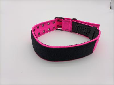 Cina Collare di cane di nylon respirabile leggero eccellente riempito del neoprene di nylon molle regolabile in vendita