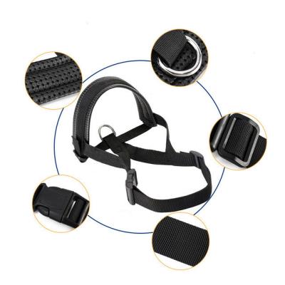 Cina Il cane riempito neoprene di nylon facile Mouch del rilascio copre la museruola regolabile respirabile del cane in vendita