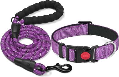 Cina Il neoprene molle riflettente durevole ha riempito i guinzagli di nylon regolabili respirabili dei collari di cane in vendita