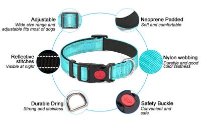 Cina Il neoprene molle riflettente durevole ha riempito i guinzagli di nylon regolabili respirabili dei collari di cane in vendita