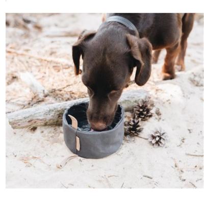 Cina Giocattoli interattivi del cane pieghevole leggero della tela per la ciotola impermeabile del cane della tela di viaggio facile in vendita