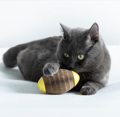 Cina I giocattoli interattivi del cane riciclati 100% hanno ondulato il Catnip di carta Cat Scratcher Ball riutilizzabile in vendita