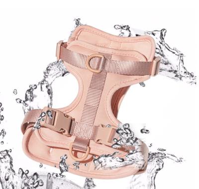 China Stretchy Resilient No Pull Pet Harness , AJ-C0245 Lightweight Dog Harness à venda