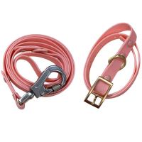 China Washable Dog Collars And Leashes Padded with Solid Pattern for sale
