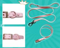 China Washable Dog Collars And Leashes Padded with Solid Pattern for sale