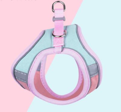 Cina Colore luminoso 6 di necessità dell'animale domestico del guinzaglio quotidiano di nylon del collare in vendita