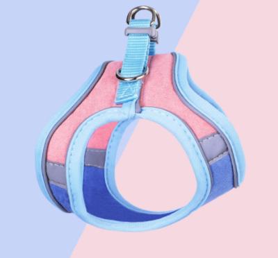 Cina Colore luminoso 6 di necessità dell'animale domestico del guinzaglio quotidiano di nylon del collare in vendita