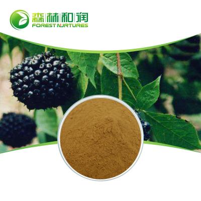 China Siberian Ginseng Extract Acanthopanax senticosus Powder Eleutherosides B+E for sale