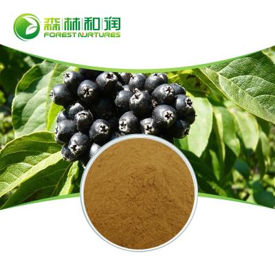 China Supply with best price, 10:1, Acanthopanax P.E./Acanthopanax Extract Powder for sale