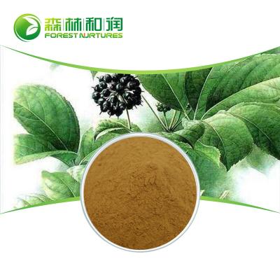 China Anti-aging Powdered Herbal Extract Acanthopanax Senticosus Extract/Acanthopanax Extract Powder for sale