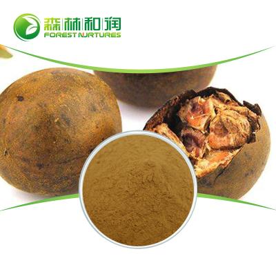 China luo han guo extract/monk fruit sweetener powder Mogrosides V 80% 50% 10:1 5:1 for sale