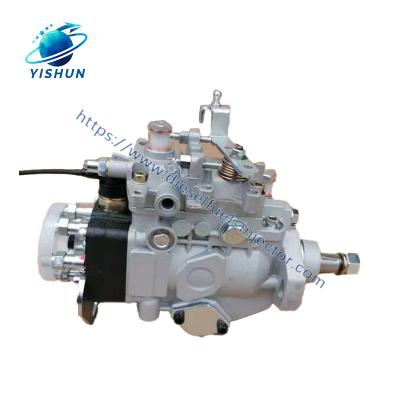 Cina High Quality Diesel Fuel Pump 22100-1c190 Common Rail Injection Pump for LAND CRUISER 1HZ in vendita
