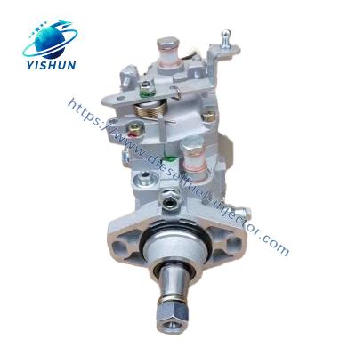 Cina High Quality Diesel Fuel Pump 22100-1c190 Common Rail Injection Pump for LAND CRUISER 1HZ in vendita