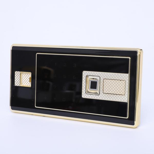 Quality Consistent Color Fingerprint Safe Lock With Keypad Design Password Entry for sale