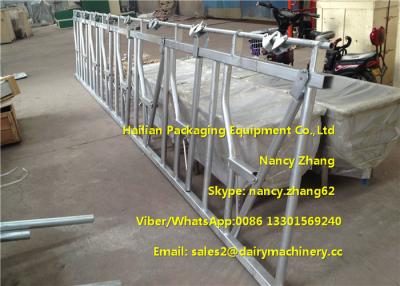 China Large Farm Equipment Dairy Cows Cattle Head Lock Locking And Feeding for sale