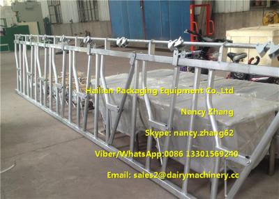 China Large Farm Equipment Dairy Cows Cattle Head Lock Locking And Feeding for sale