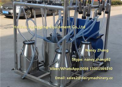 Китай HL-G01 Система доильного салона с коровьим рысью с 28L стеклянным рекордером молока продается