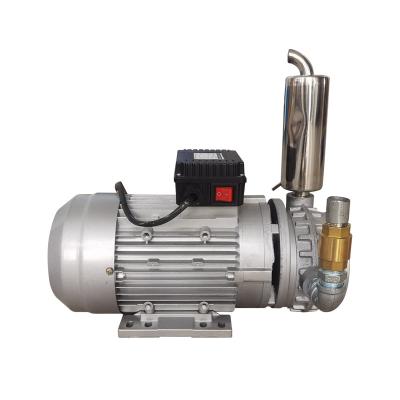 중국 HL-V250D 밀킹 머신 1.1Kw 모터와 250L 용량으로 건조형 펌프 판매용