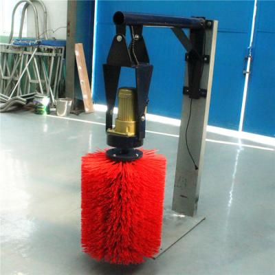 China Electric Motor 220V 50Hz Dairy Cow Scratching Brush For Animal Massagger and Cleaning for sale