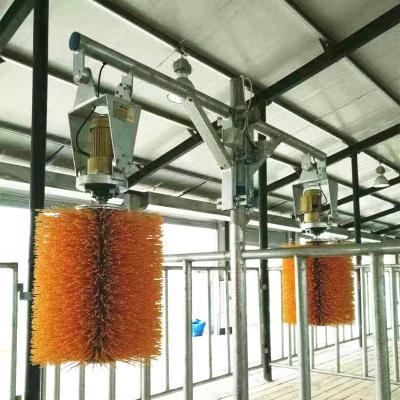 중국 100W 솔, 노란 거는 유형 가축 솔을 긁어 나일론 몸 암소 판매용