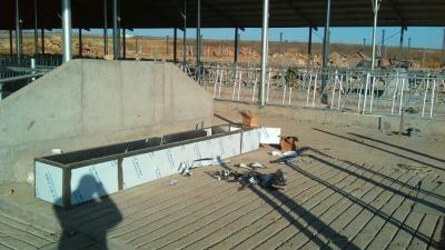 China La ordeñadora del canal animal del agua del ganado de la vaca ahorra el acero inoxidable en venta