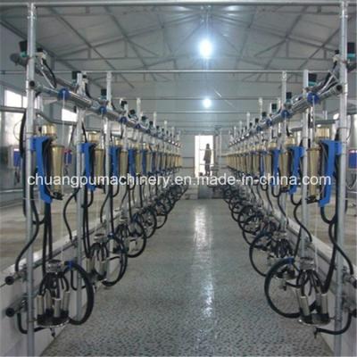 China Herringbone Structure Milking Parlor with Waikato Milk Meter and CE ISO SGS FDA Certification for sale