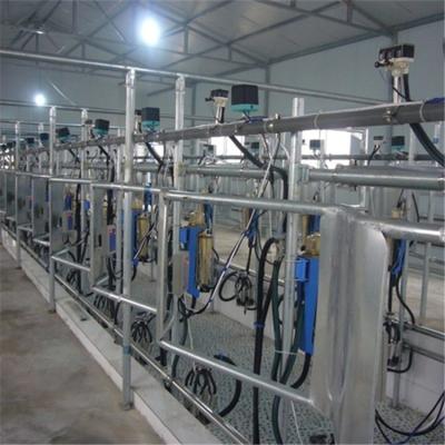 China ISO Certified Herringbone Milking Parlor System with Milk Flow Meter for Dairy Farms for sale