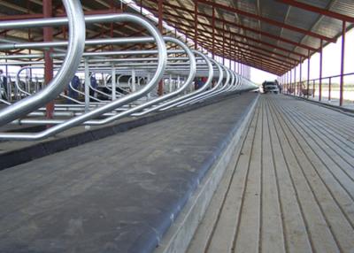 China Hot Dip Galvanized Cattle Stall With Bovine Jugular Track , Clamp , Bolt for sale