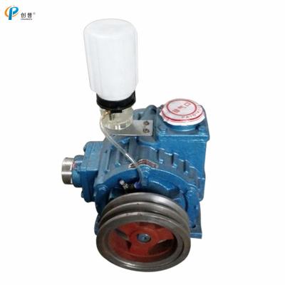 Cina tipo asciutto inchiostro Blad rotatorio della pompa del latte di vuoto 250l del carbonio di potere 250l/Min 24kg di 0.75kw in vendita
