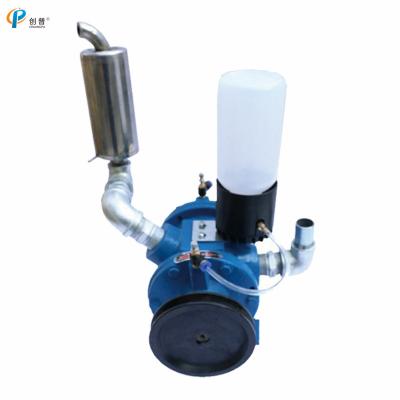 Cina tipo asciutto inchiostro Blad rotatorio della pompa del latte di vuoto 250l del carbonio di potere 250l/Min 24kg di 0.75kw in vendita