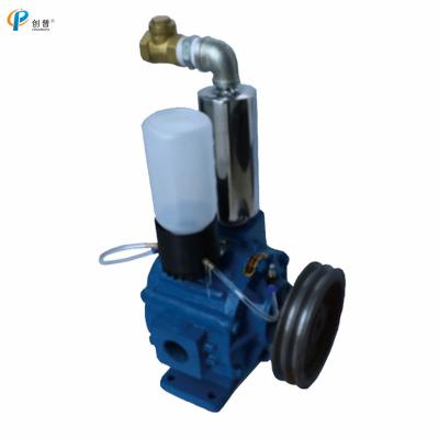 Cina tipo asciutto inchiostro Blad rotatorio della pompa del latte di vuoto 250l del carbonio di potere 250l/Min 24kg di 0.75kw in vendita