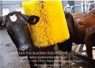 China 100W Nylon Body Cow Scratching Brush , Yellow Hanging Type Cattle Brush for sale