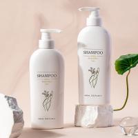 China 400ml cylindrical rectangle smooth with white pump for shampoo lotion bottle for sale