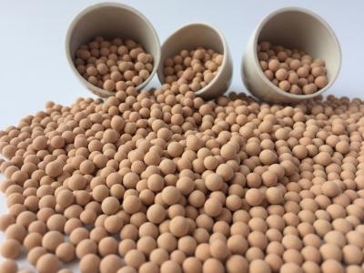 China Beige Carbon Molecular Sieve The Advanced Adsorbent For Industrial Applications for sale