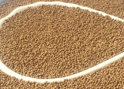 Cina L'alto diseccante adsorbente del setaccio molecolare per la lastra di vetro doppia Windows rimuove l'annebbiamento in vendita